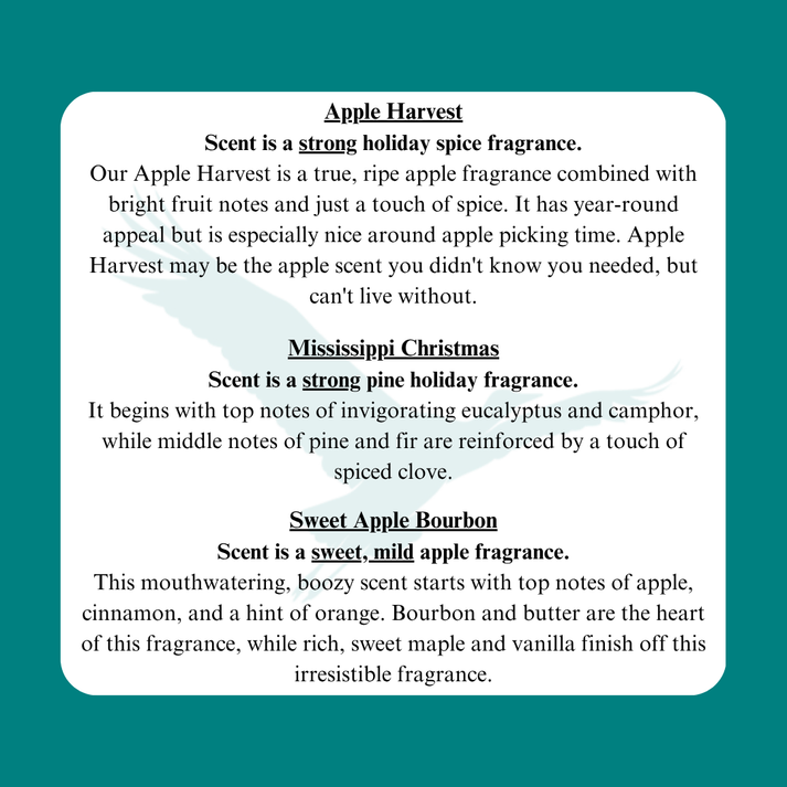 Liquid Laundry Detergent – Mississippi Candle Co.